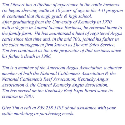 Welcome to Dievert Sales Service!